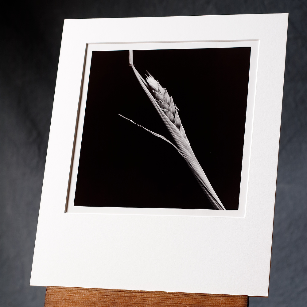Silver gelatin prints – we print exclusively by hand | Hand Printed Photos