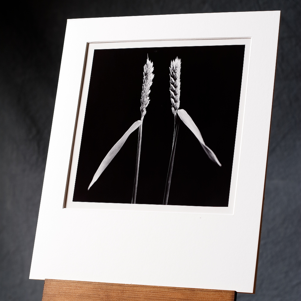 Silver gelatin prints – we print exclusively by hand | Hand Printed Photos