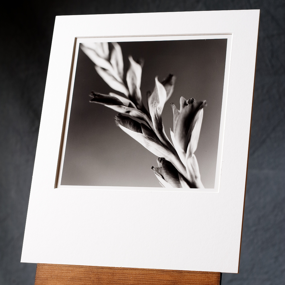 Silver gelatin prints – we print exclusively by hand | Hand Printed Photos