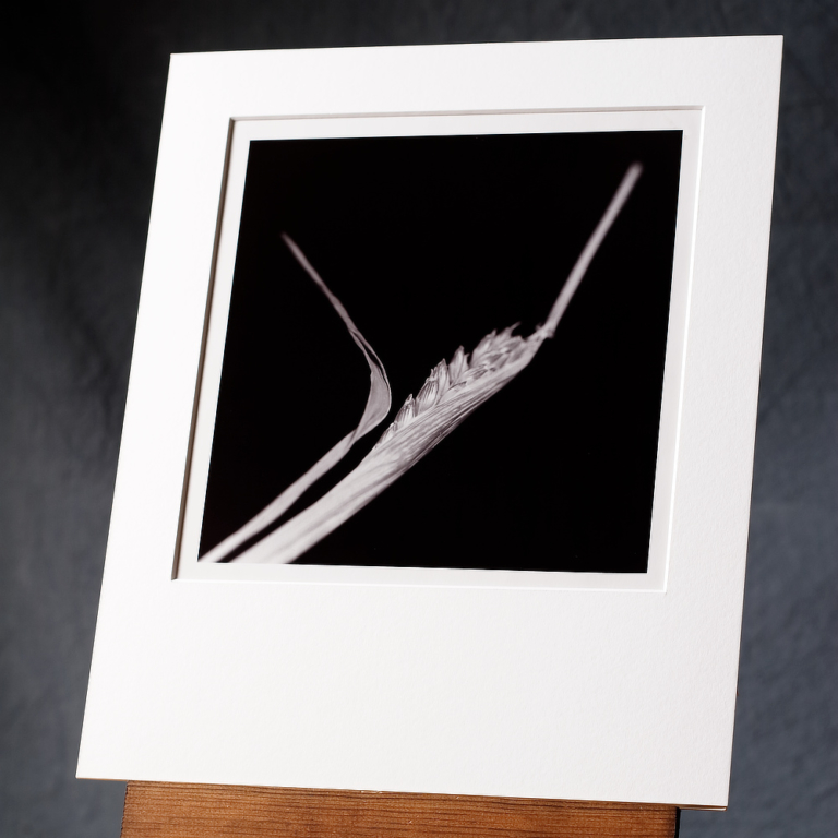 Silver gelatin prints – we print exclusively by hand | Hand Printed Photos